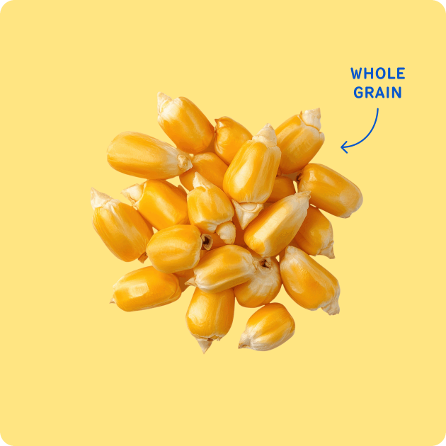 Why Khloud · Khloud